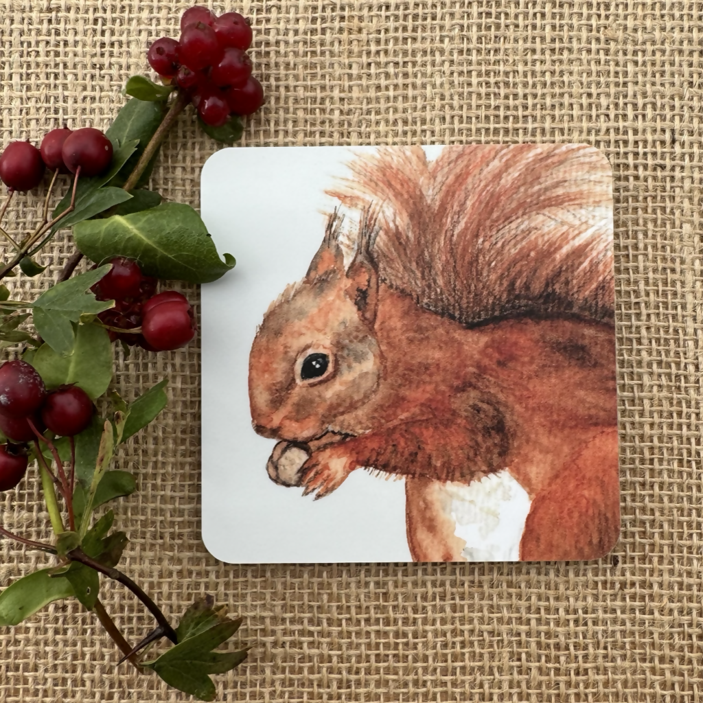 Red Squirrel Coaster Wipeable | Country Living Marketplace