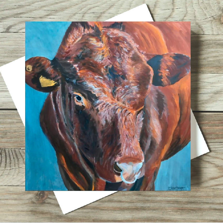 Lincoln Red Bull Greeting Card | Country Living Marketplace