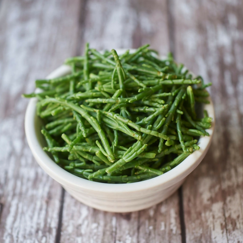 Samphire Plants (Salicornia / Rock Samphire) | Salt-Tolerant Herbs for ...