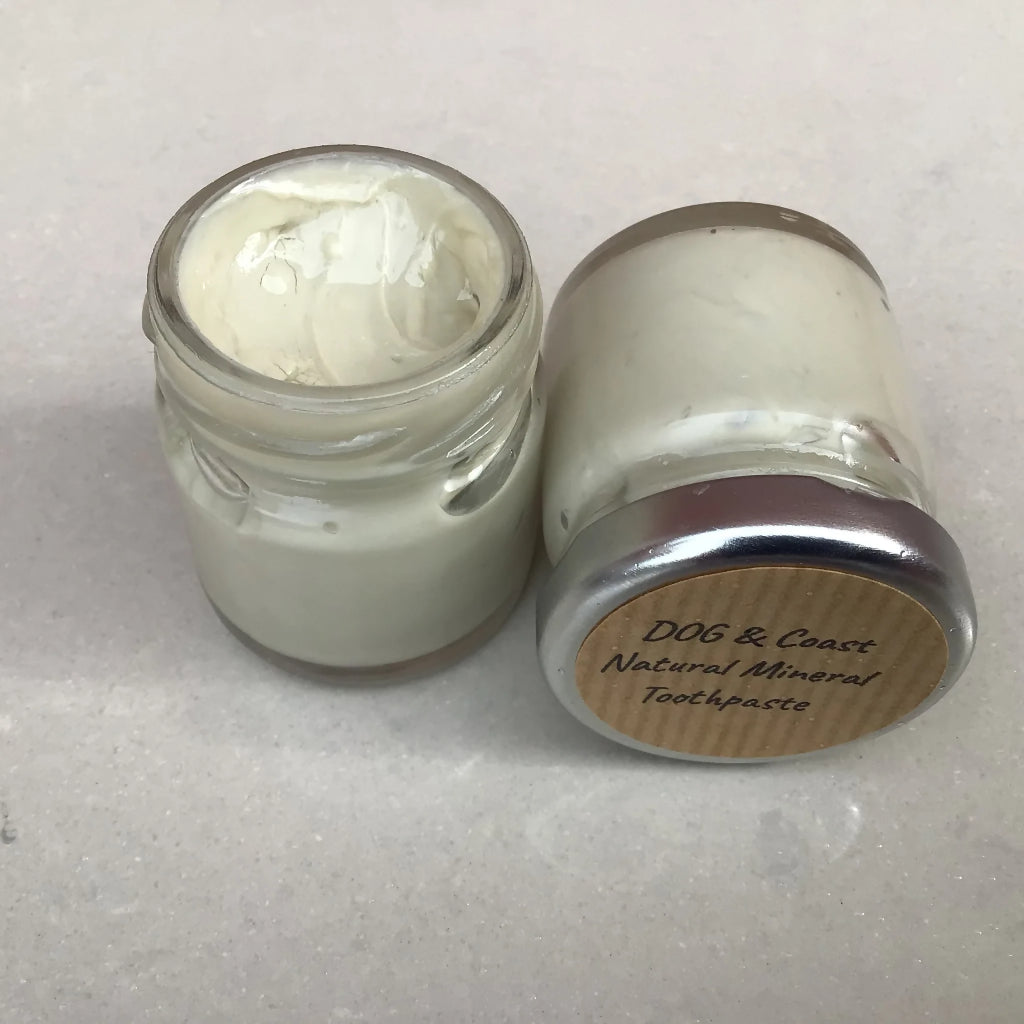 Natural Mineral Toothpaste for Dogs | Country Living Marketplace