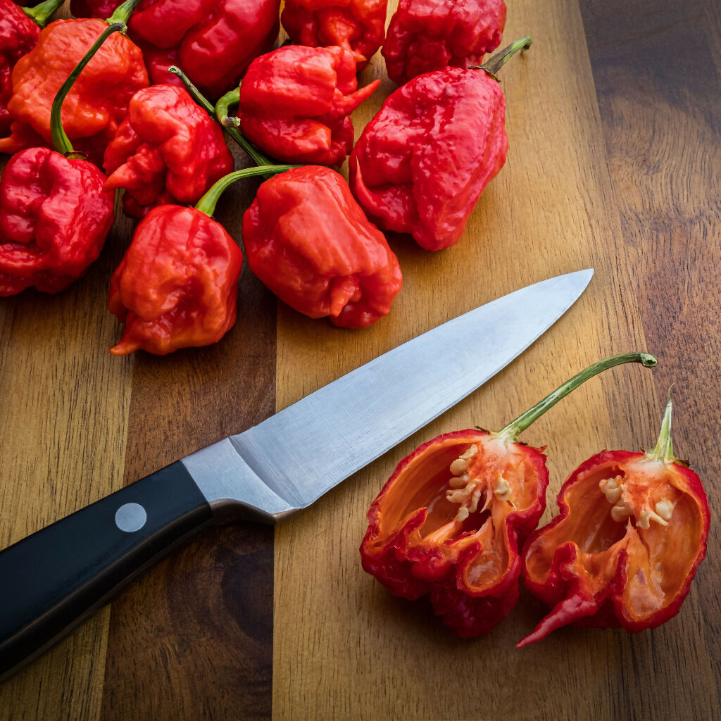 Chilli ‘Carolina Reaper’ Plants | World’s Hottest Pepper Plants for ...