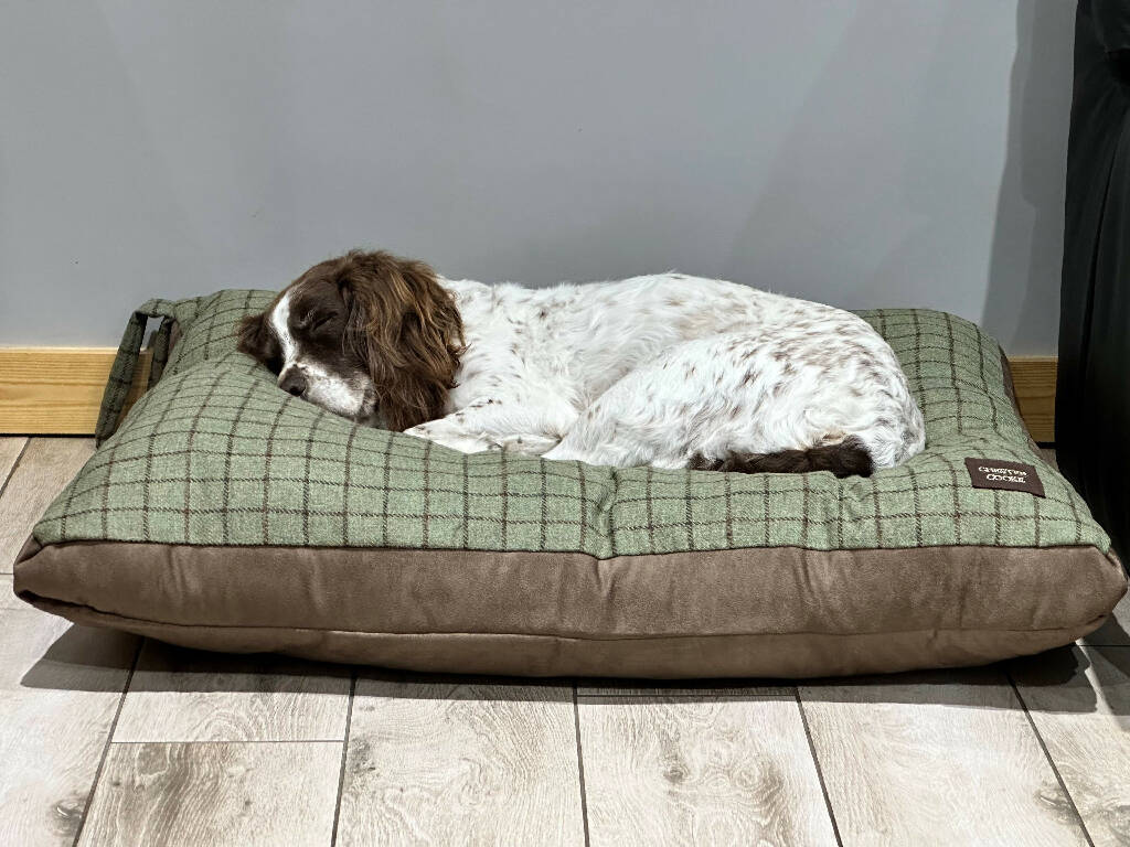 Pets | Country Living Marketplace