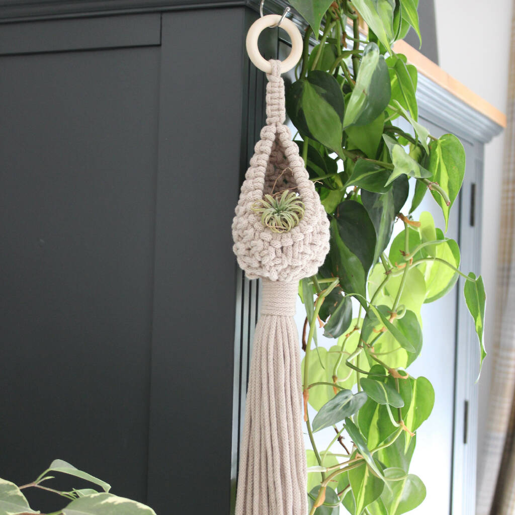 Plant Pod Hanger DIY Kit | Country Living Marketplace
